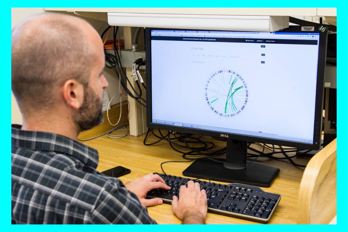 IT Systems Management – Definition, Functions,And More